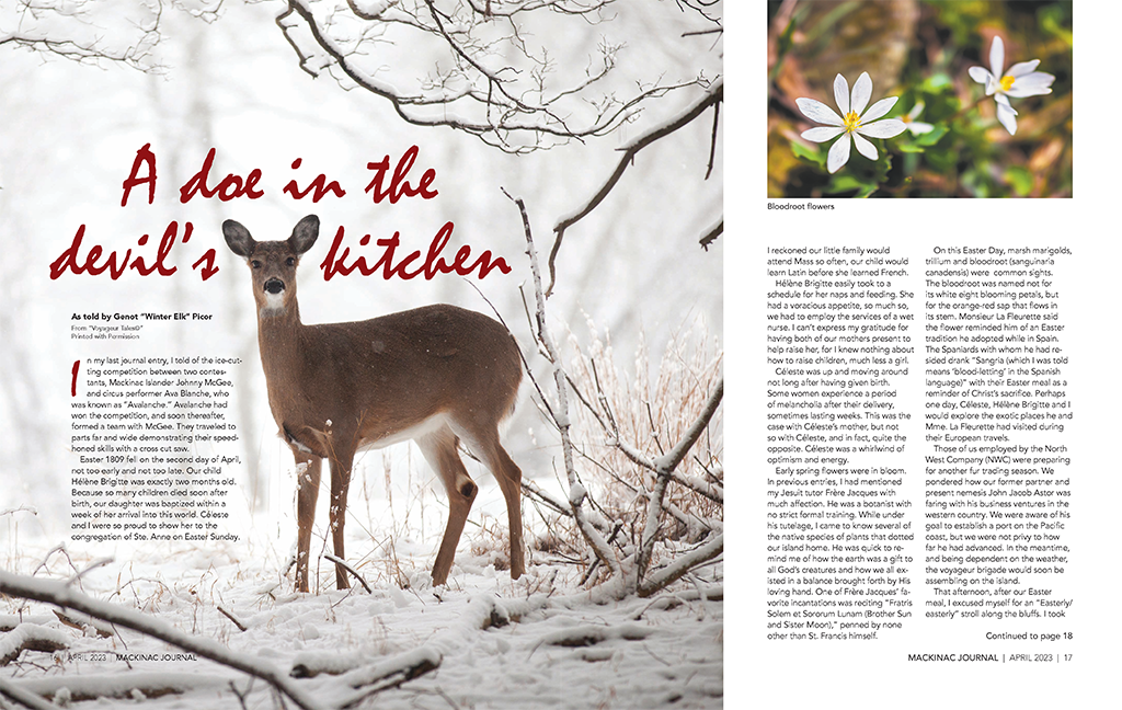 Hannah Patton Portfolio – Professional Graphic Design Portfolio of ...